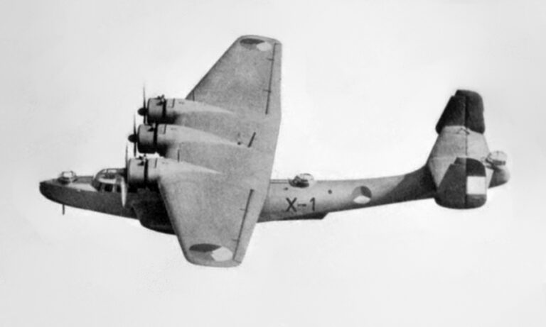 Dornier Do 24: A Multifaceted Combat Aircraft