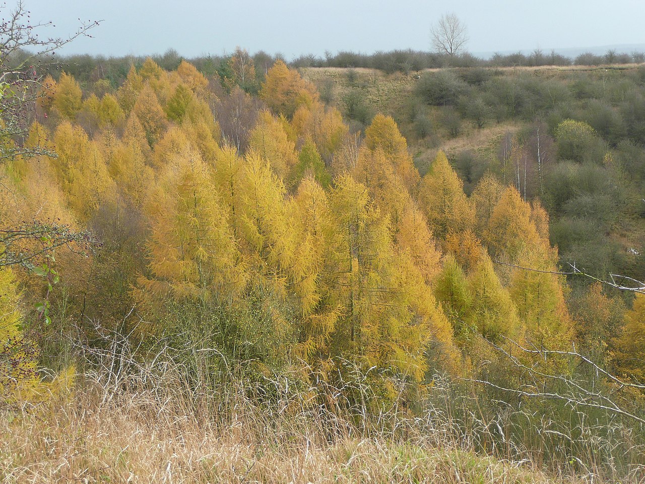 RAF Fauld - Britain’s Largest Explosion - PlaneHistoria
