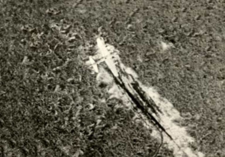 Swamp Ghost: Pacific B-17 Preserved by a Swamp - PlaneHistoria